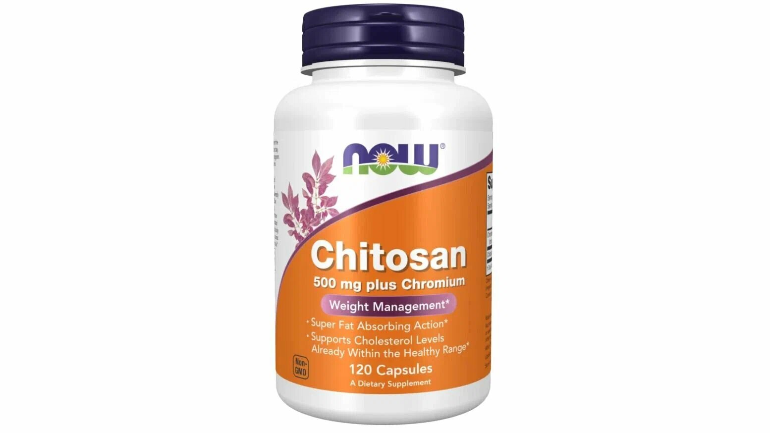 Блокатор жиров Хитозан NOW CHITOSAN PLUS 500mg 120 вег. капсул