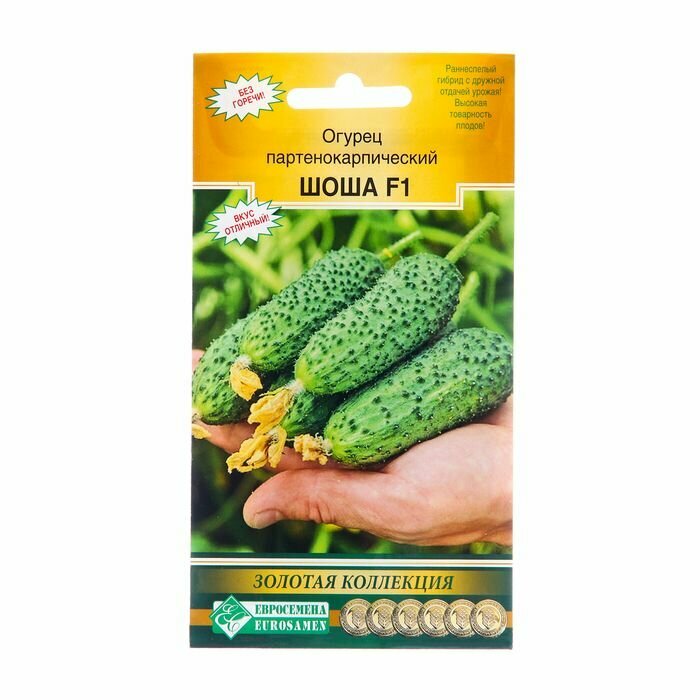 Семена Огурец партенокарпический Шоша , F1, 5 шт, Евросемена