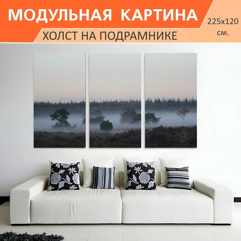 Модульная картина на холсте "Veluwe, пейзаж, лес" триптих на подрамнике 225х120 см. для интерьера