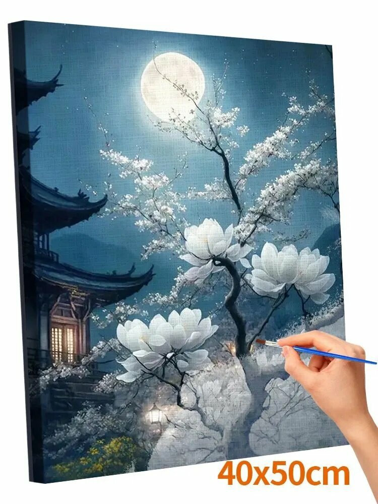 Картина по номерам Без рамки 40x50cm, цветной холст - Луна