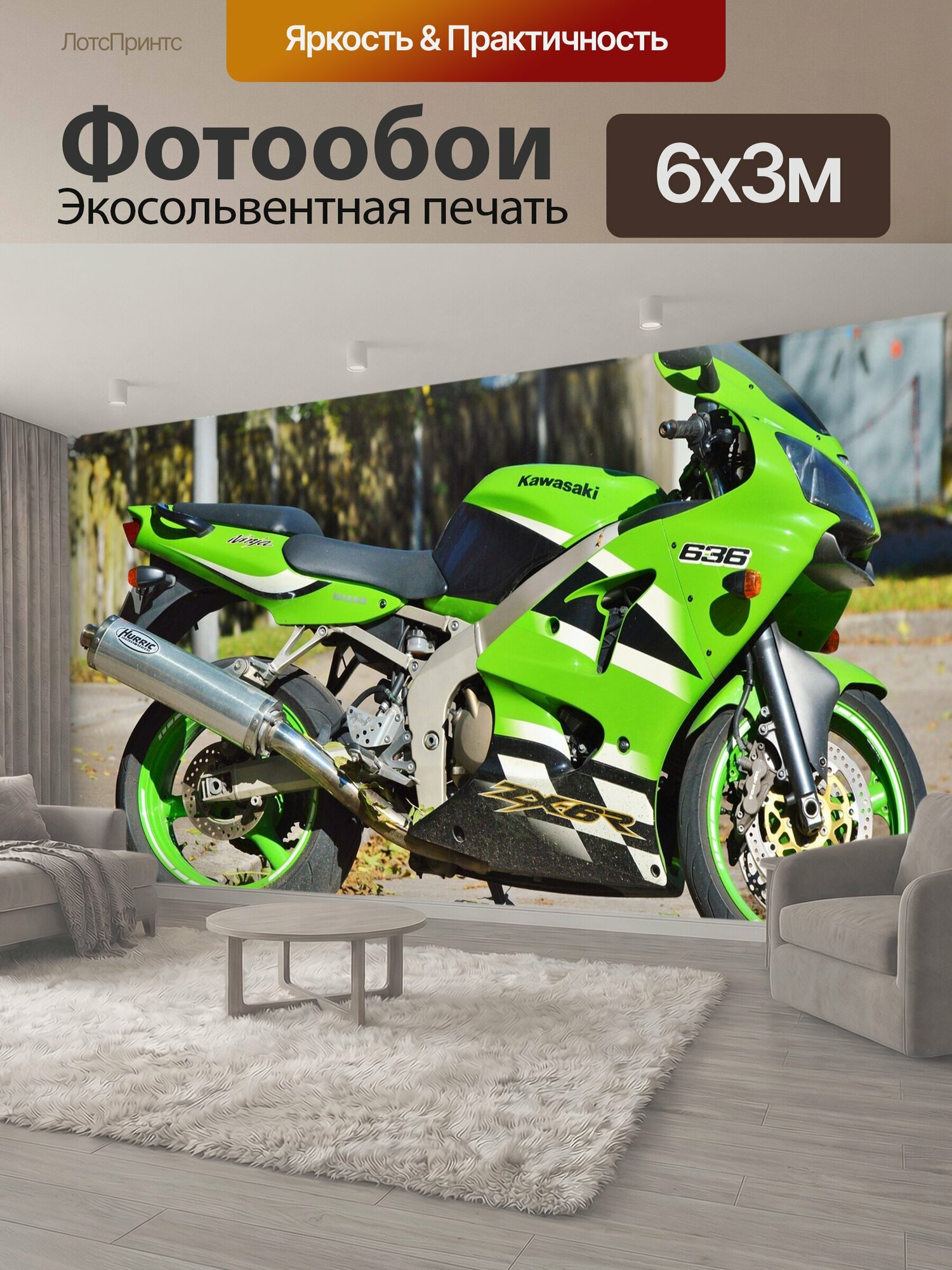 Фотообои "Мотоцикл, кавасаки, zx6r" 600x300 см. экосольвентная печать