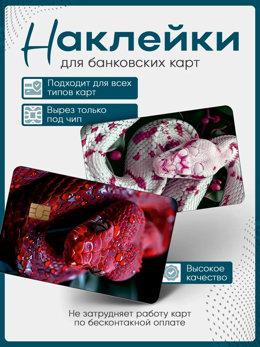 Наклейка на банковскую карту Питон