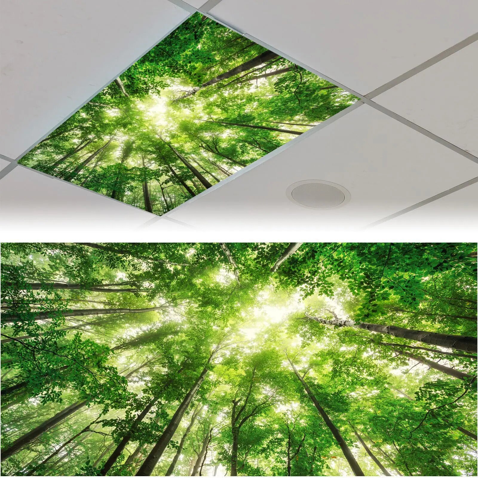 Чехол для потолочного светильника KIQUNE, Цвет корпуса: Sunlit Forest