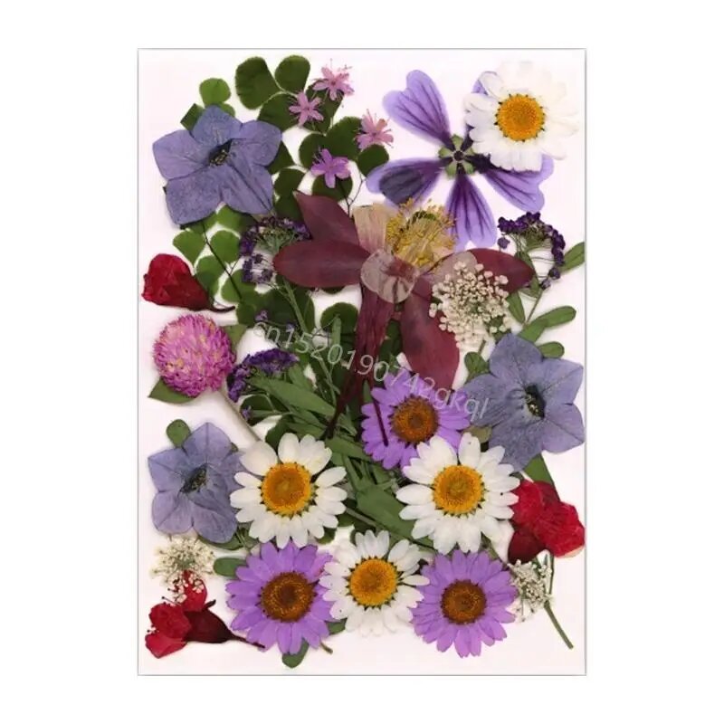 Сушеные цветы для декупажа, фиолетовые, Mixed colors