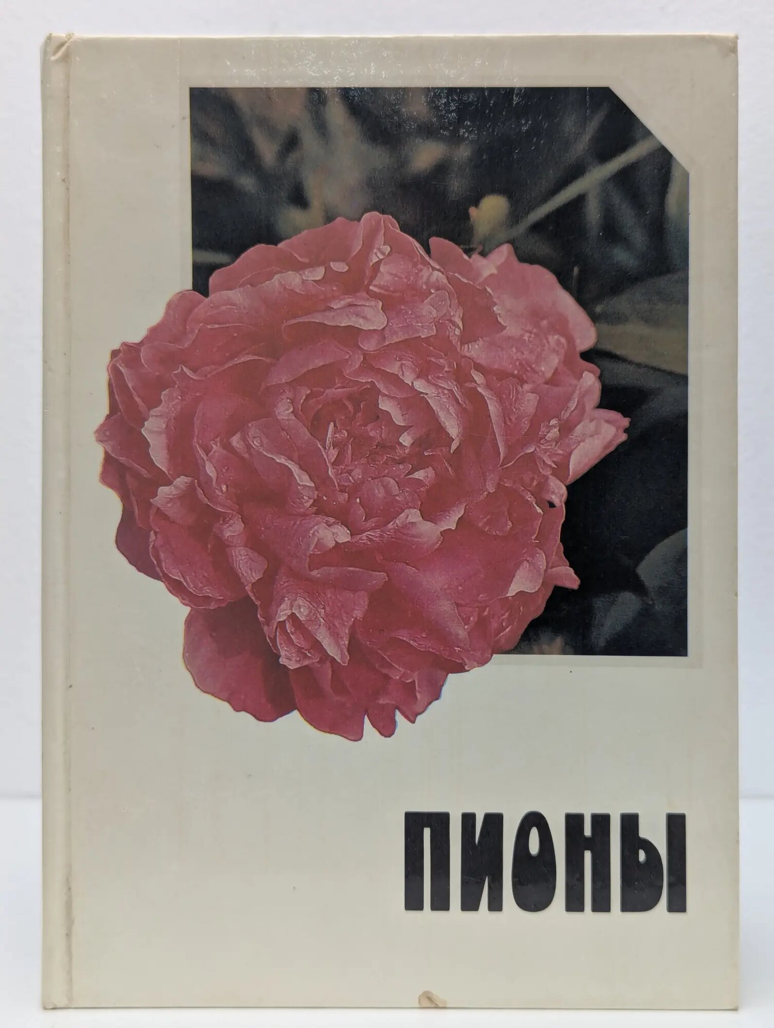 Пионы. Альбом - справочник 1985