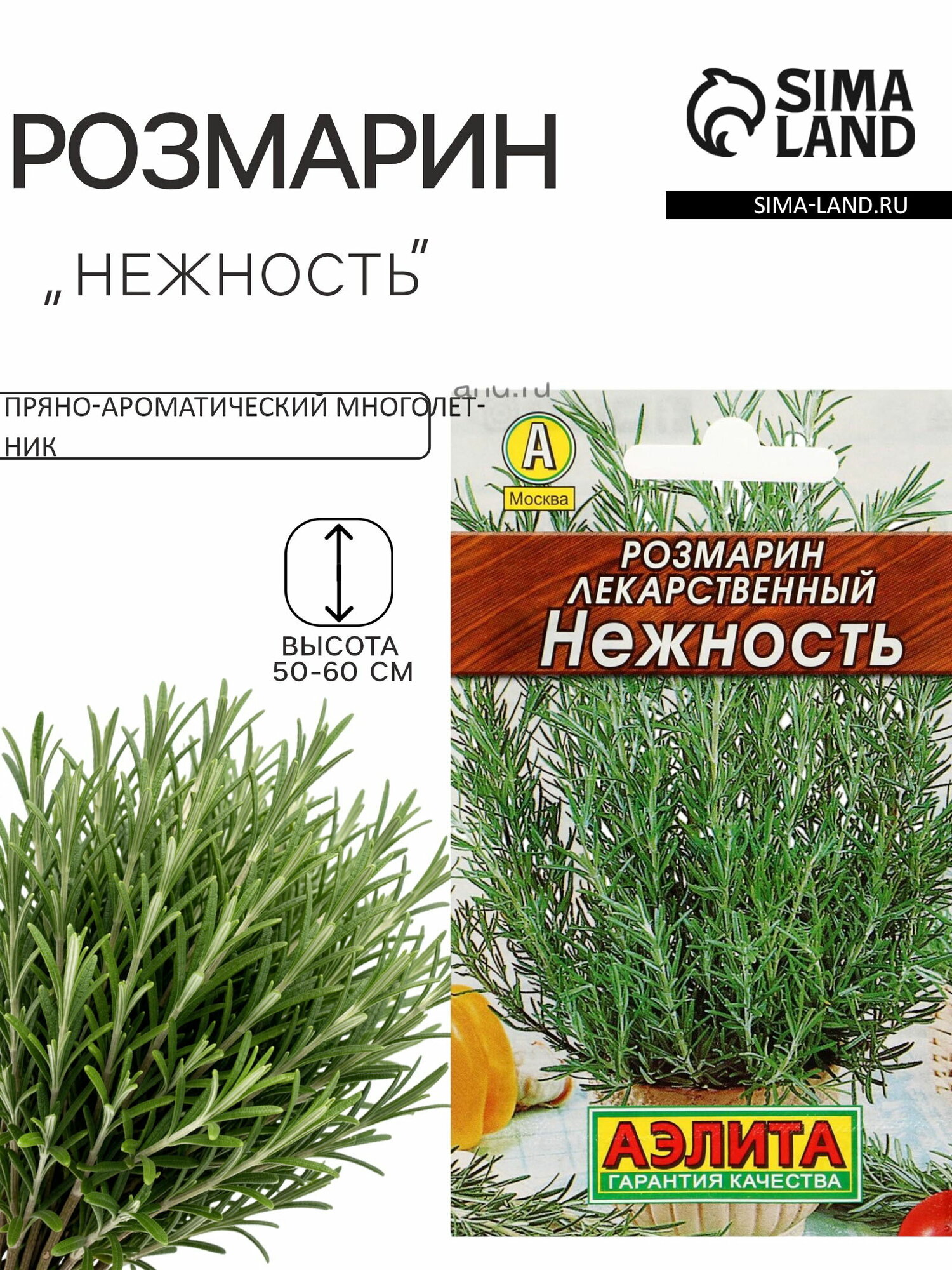 Семена Розмарин "Нежность", 0.03 г, "Аэлита", применение: душистые (на зелень, в салаты, в блюда), 2 шт.