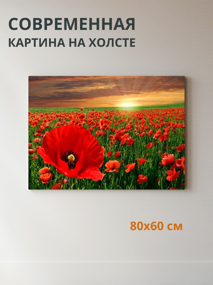 Картина на холсте Полевой луг 80x60 см