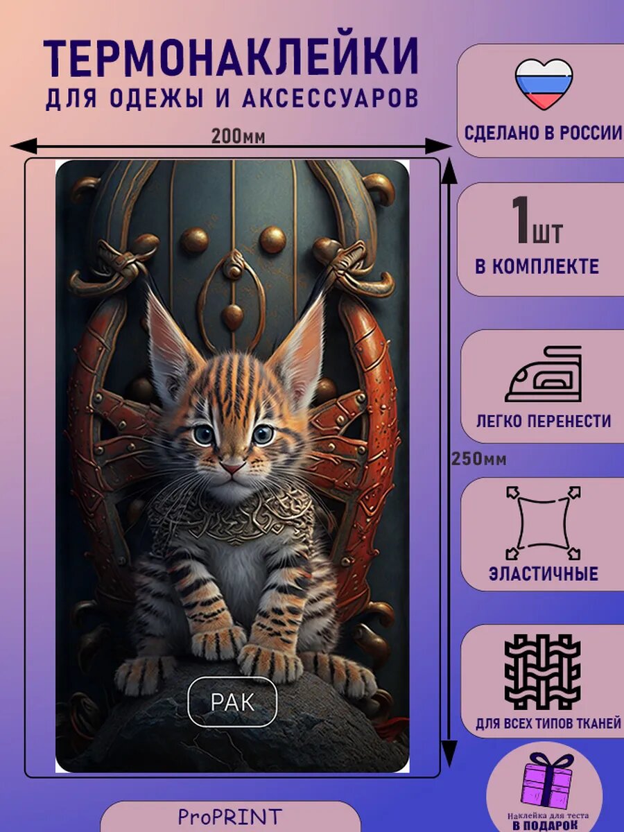 Термонаклейка для одежды
