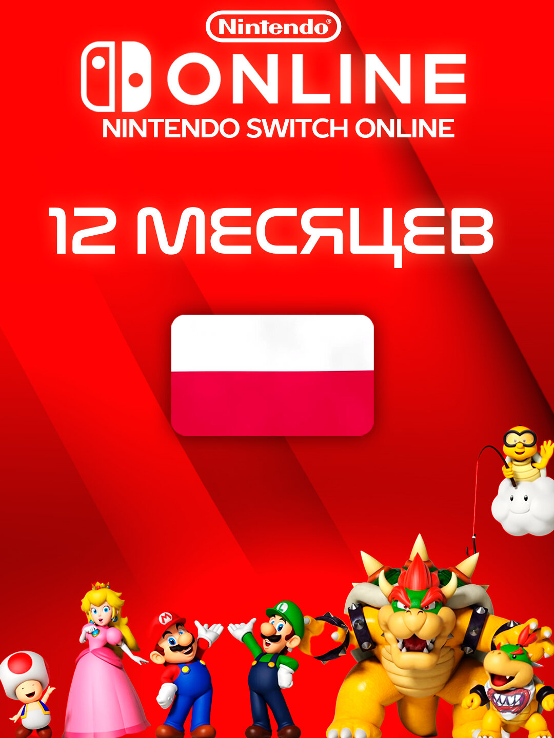 Подписка Nintendo Switch Online 12 месяцев / Код активации подписки / Подписка Нинтендо / Nintendo Gift Card / Польша