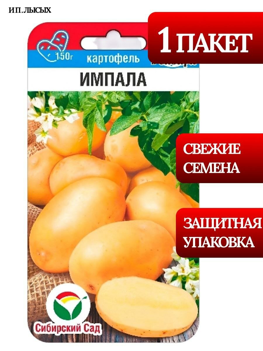 Семена Картофель "Импала"