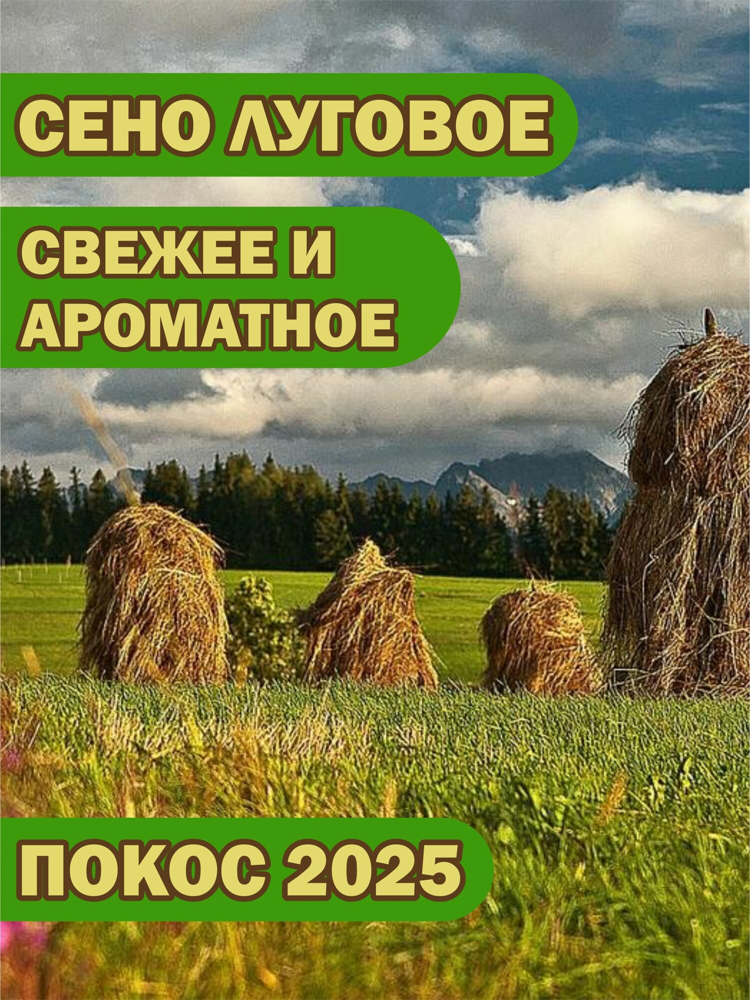 Сено тюк 12 - 15 кг. с заливных лугов на корм и подстилку для животных