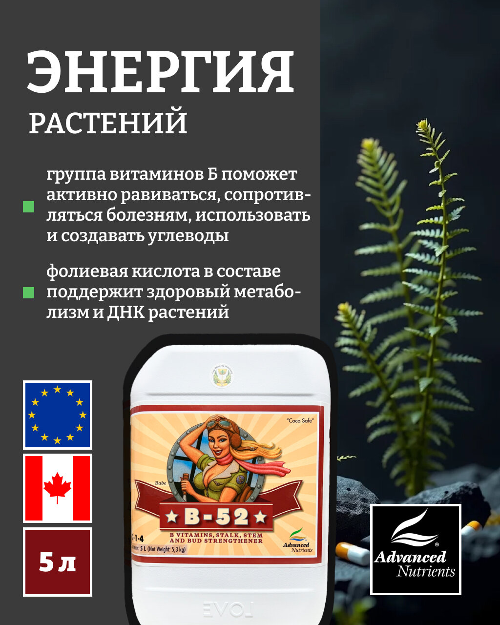 Удобрение для укрепления с витаминами Advanced Nutrients B-52 5 л. — фото 1