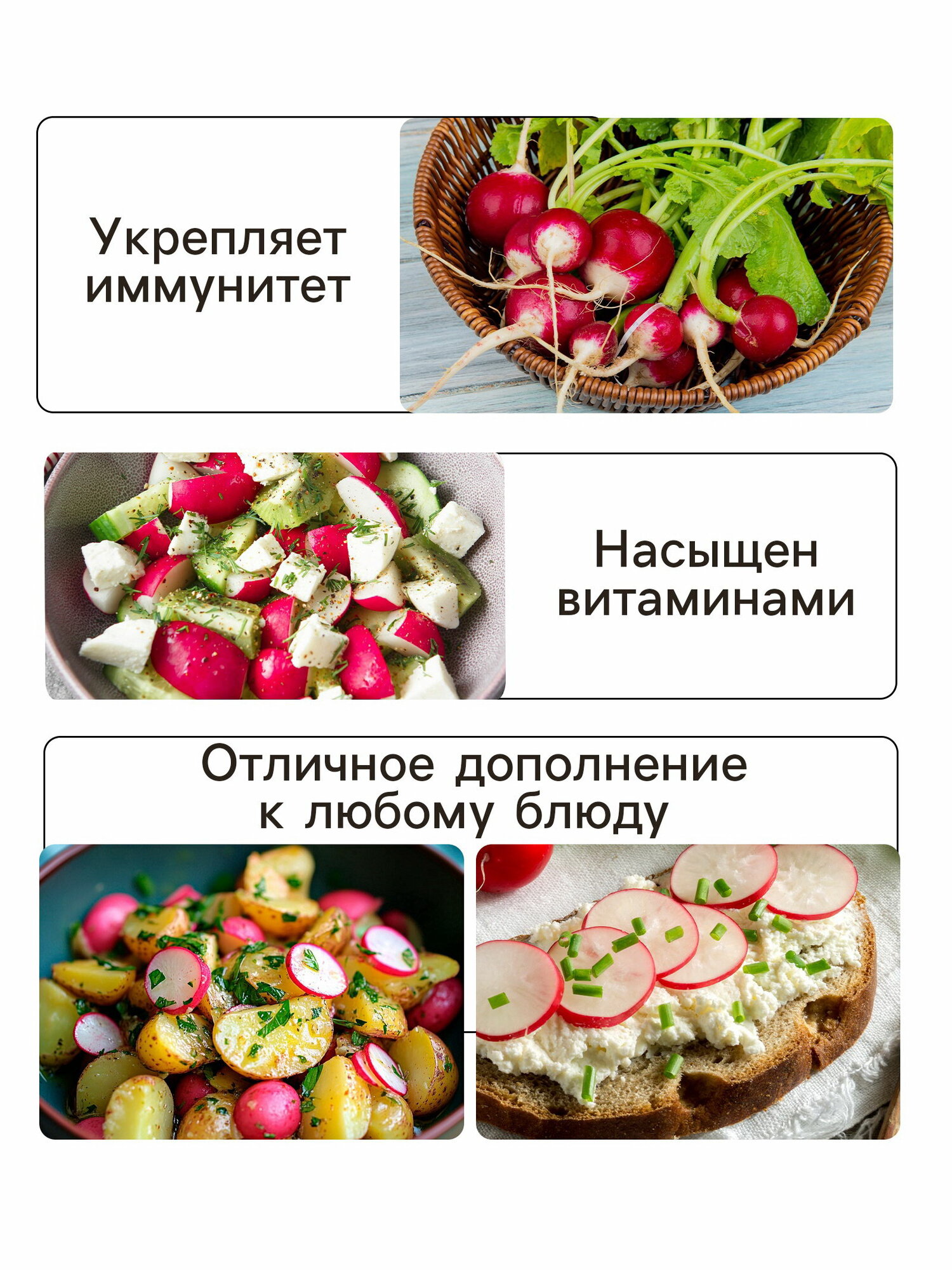Семена Редис "Жара", 2 г, посев (посадка) в грунт: август, сроки созревания: ранний, 2 шт. — фото 1