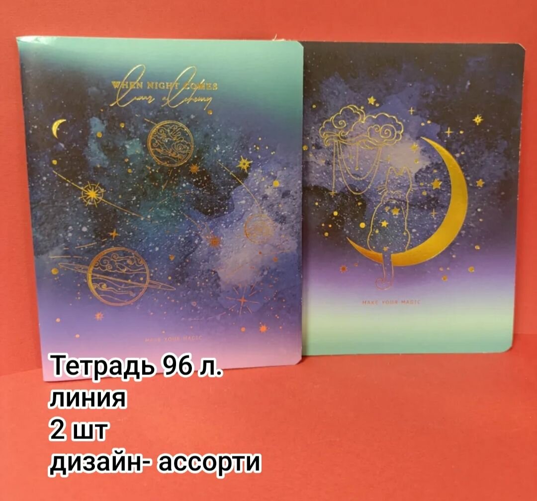 Тетрадь "Ночь пришла" 96л. лин.2 шт ассорти