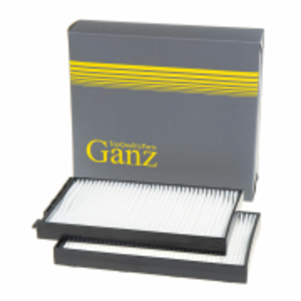 Фильтр Салонный, 2Шт Hyundai H-1/H-1 Travel/H-1(Ganz Gir03215)