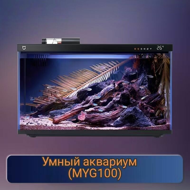 Аквариум