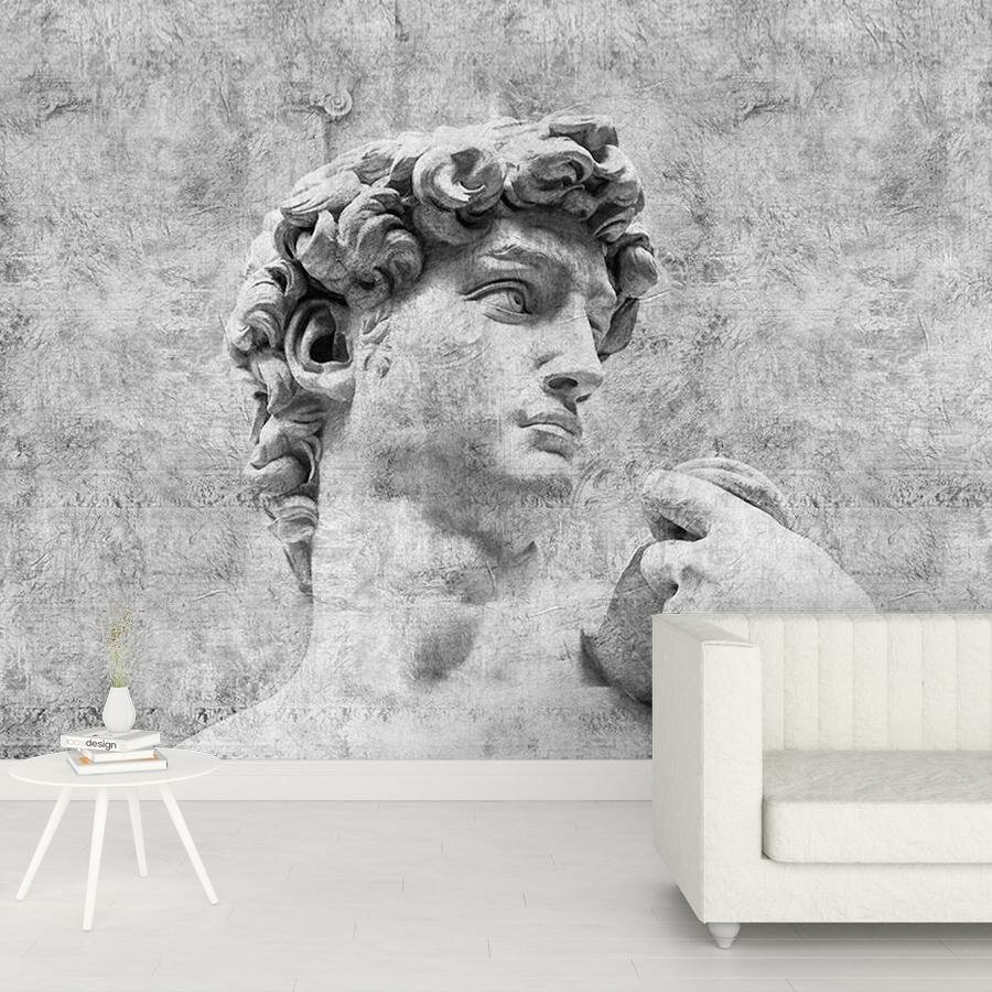 Фотообои Давид. Бюст 14-675-S-Холст 270 x 200 см (ВхШ) Бесшовные, флизелиновые, влагостойкие обои MasterFresok