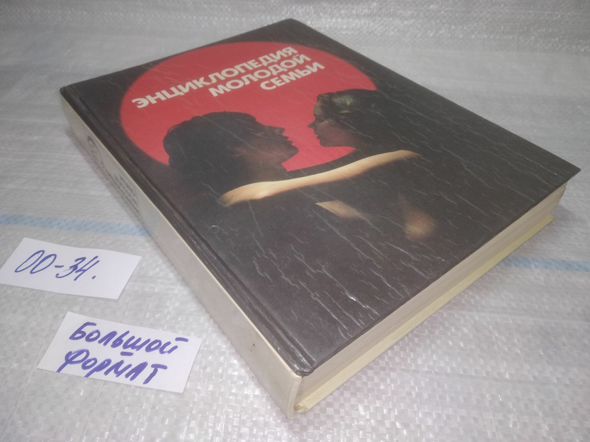 Энциклопедия молодой семьи