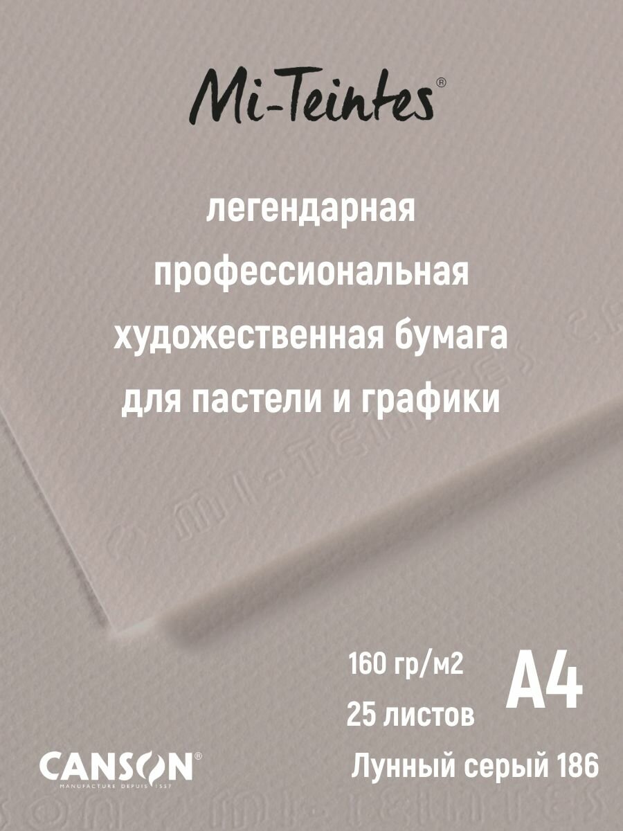CANSON Mi-Teintes бумага для пастели 160 г/м2, 25 листов A4 21 х 29.7 см, №186 Лунный серый C31032S047