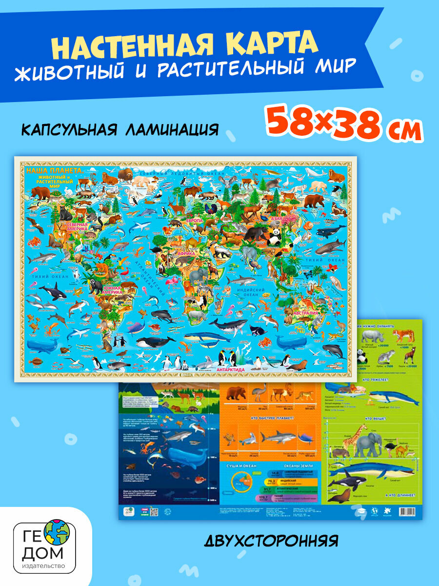 Карта Мира Геодом ламинированная настольная двухсторонняя Наша планета Животный и растительный мир 58х38 см