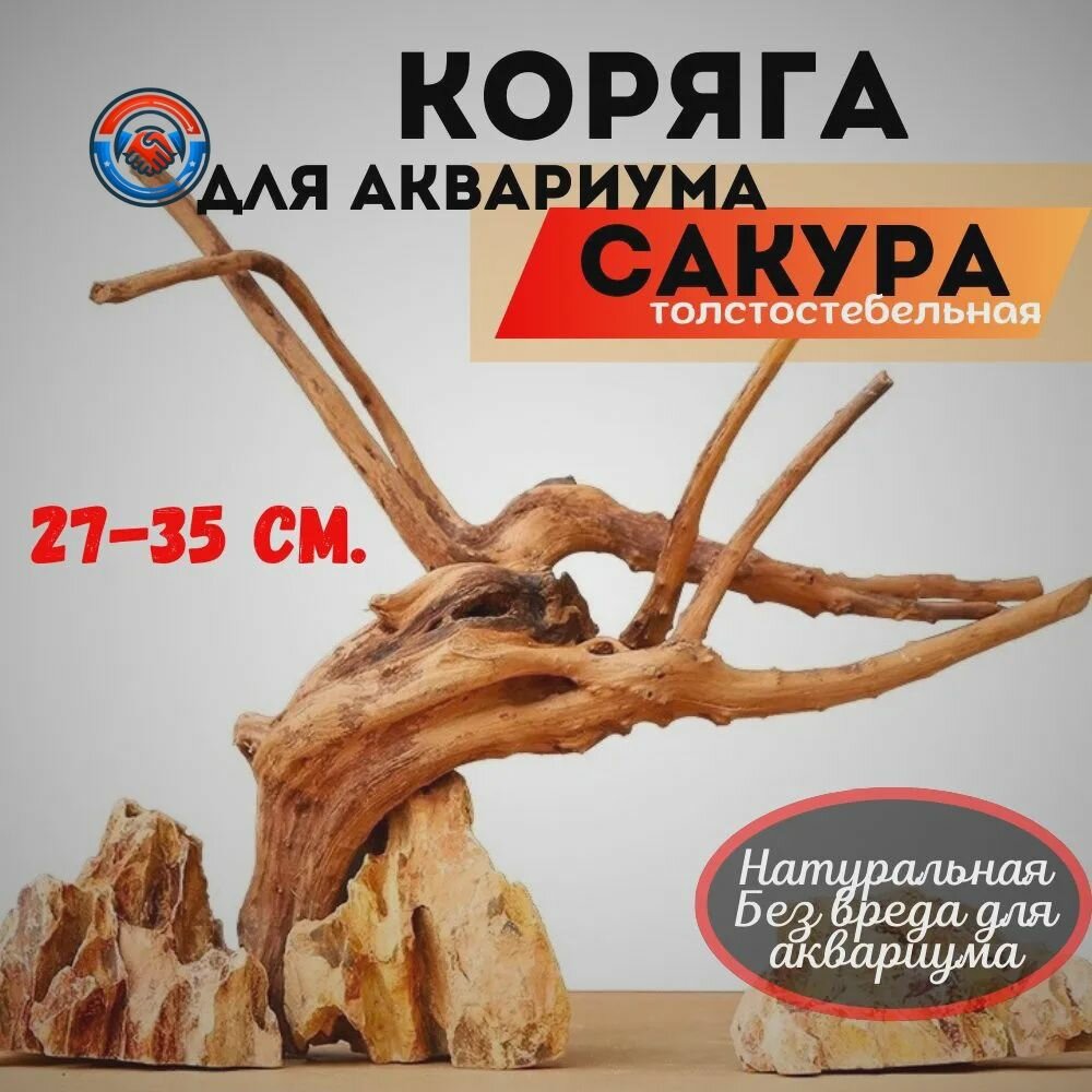 Натуральная коряга сакура для аквариума и террариума, безопасное укрытие для рыб и рептилий, декоративный аквариумный пейзаж