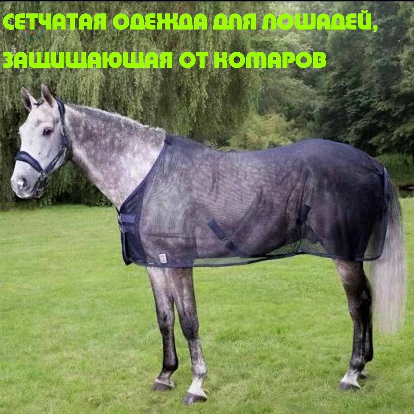 Антимоскитная одежда для лошадей дышащая сетчатая защита от укусов комаров, удобное тренировочное пальто с кнопками