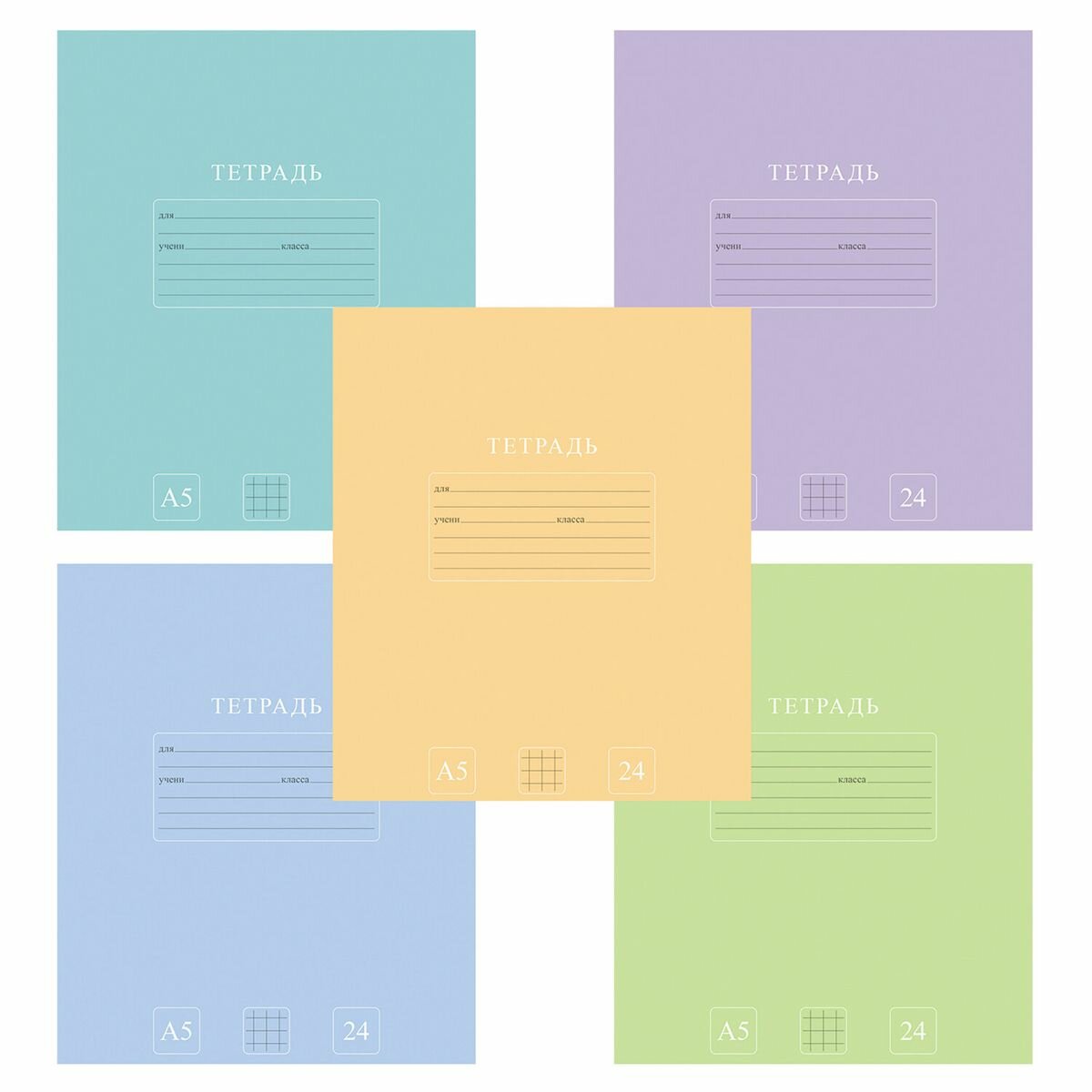 Тетрадь школьная 24л, А5 Hatber Eco PureColour (клетка, офсет №2, картон, эконом) (24Т5C1), 100шт.