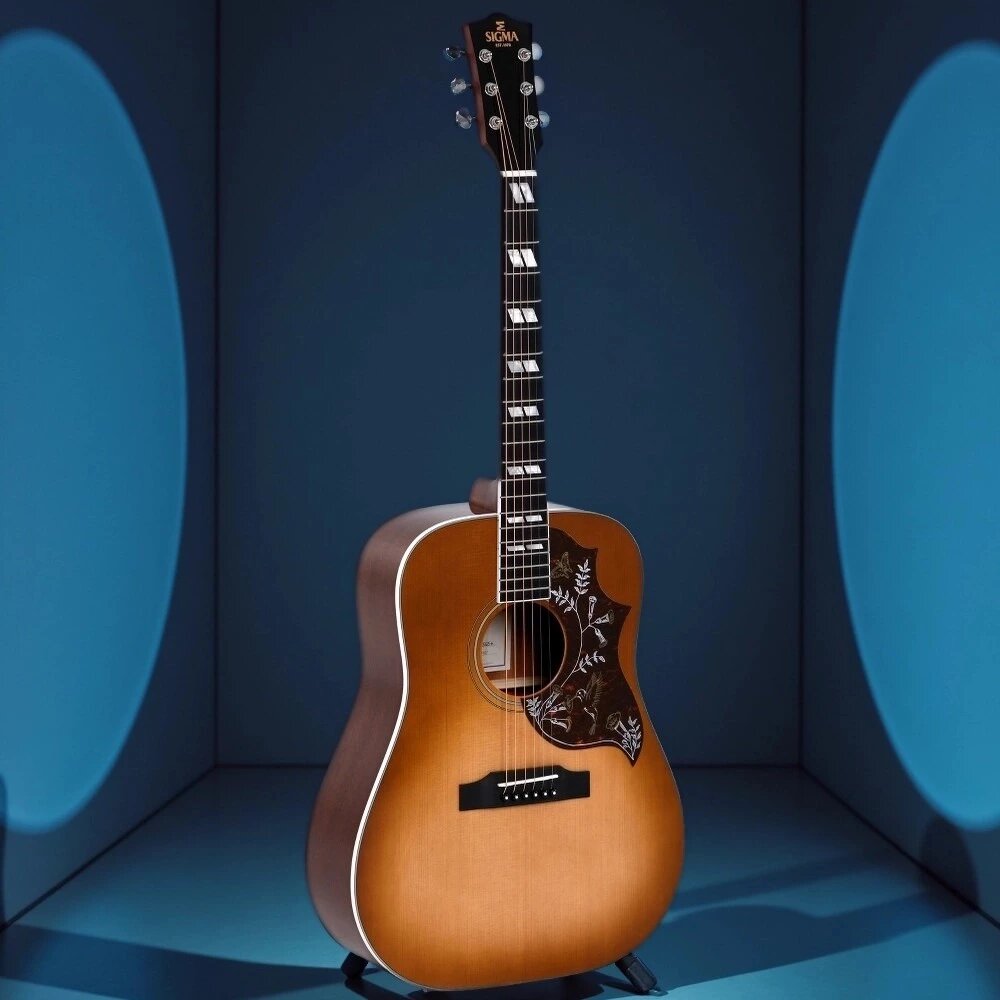 Электроакустическая гитара Sigma DM-SG5