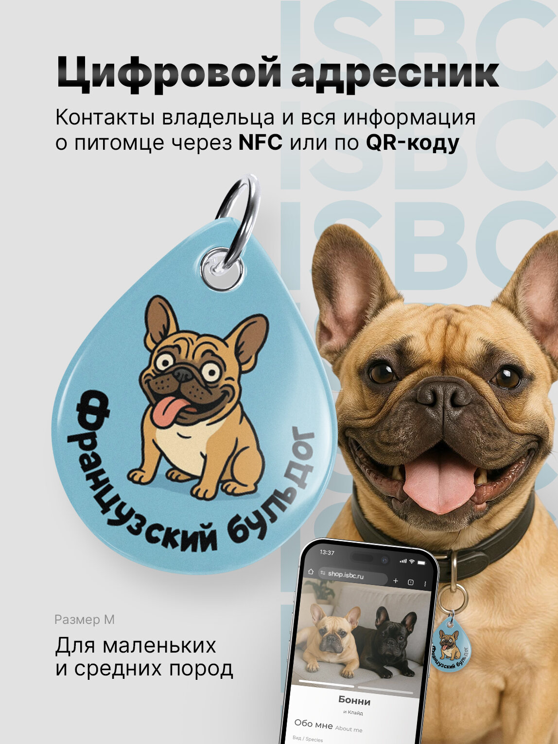 Цифровой Адресник для собак от ISBC с NFC и QR-кодом, Французский бульдог