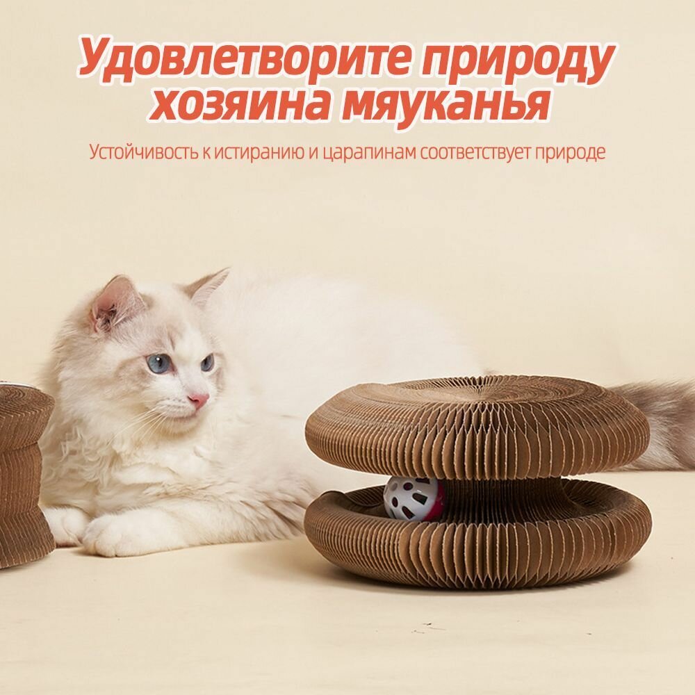 Когтеточка — фото 1