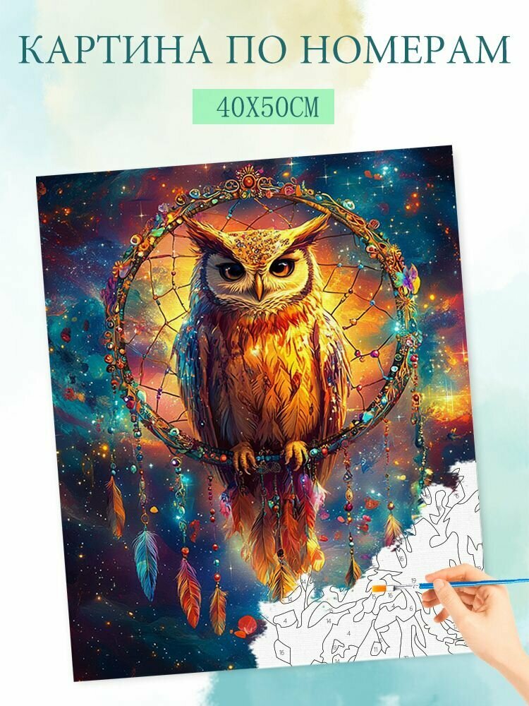 Картина по номерам Сова-ловец снов 40x50 см, набор для рисования акрилом на холсте без подрамника, расслабляющее творчество для взрослых и подростков, готовый набор красок и кистей, DIY-декор для дома
