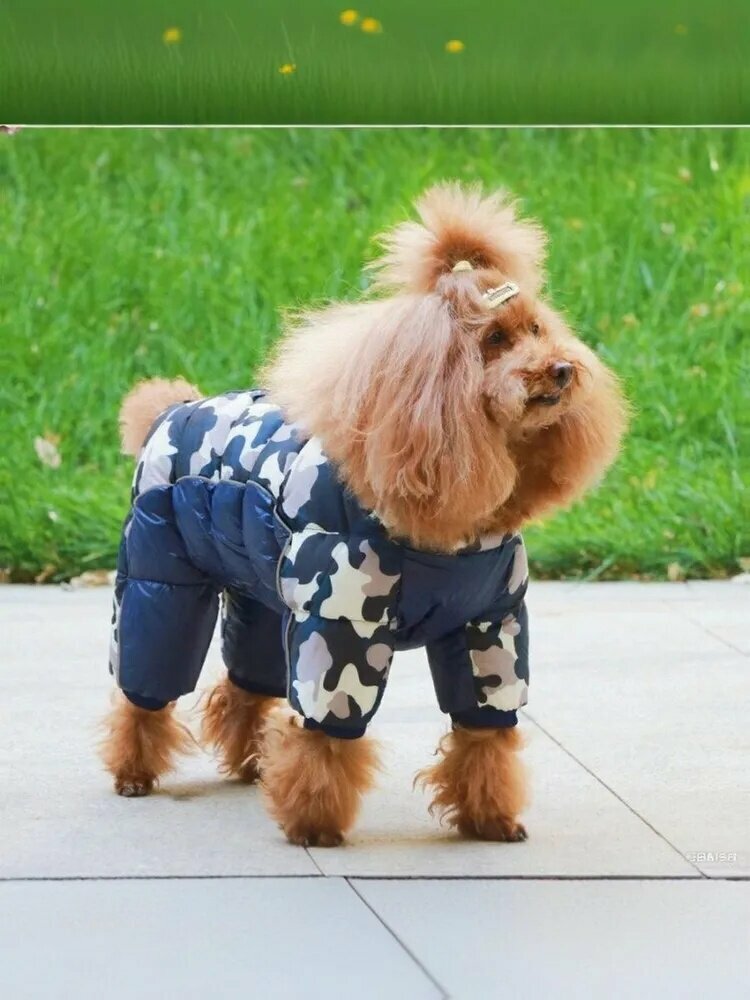 KNOW EASY-Одежда для домашних животных