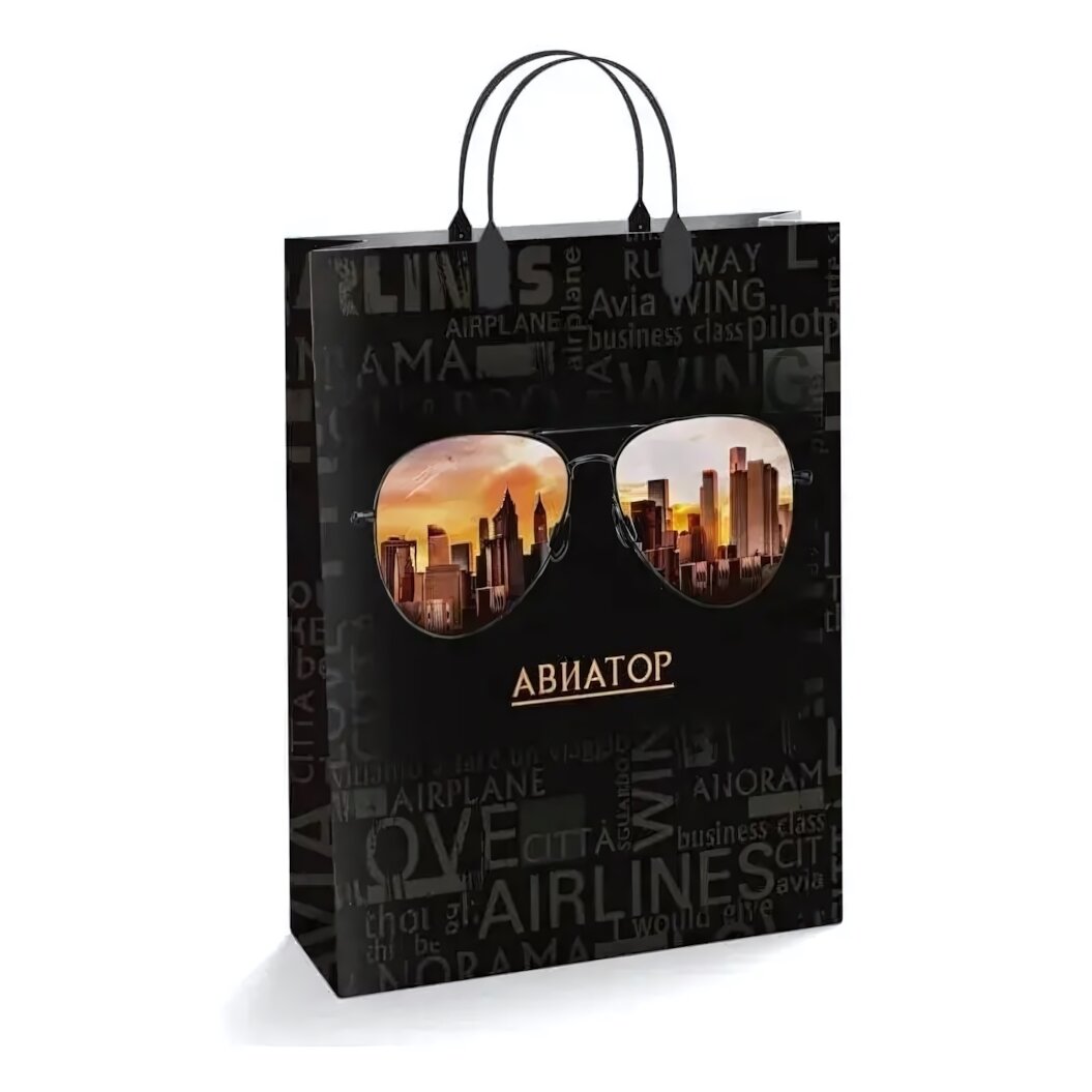 Пакеты подарочные 'Авиатор' 30х10 см, мягкий пластик, набор 10 штук, дизайн с золотым принтом
