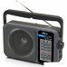 Ritmix RPR-320
