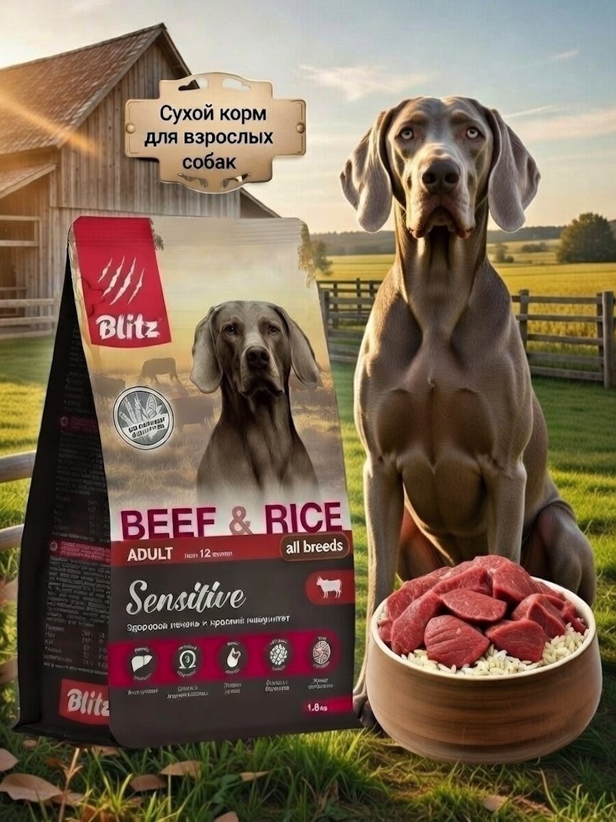 Сухой корм для собак Blitz Sensitive adult Beef & Rice говядина и рис 1,8 кг