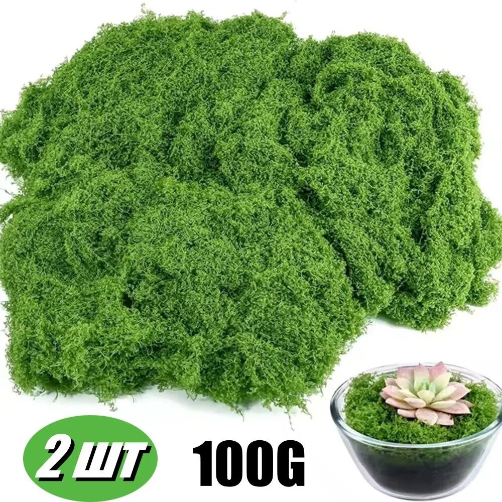 Стабилизированный мох Мох, 100 гр, 2 шт