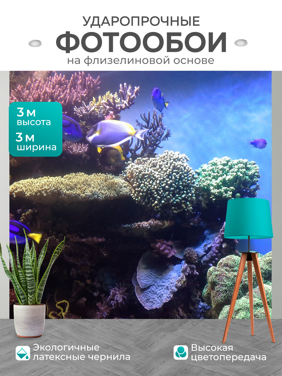 Фотообои моющиеся ударопрочные "Коралловый риф, кораллы, аквариум" 300x300 см. флизелиновые на стену