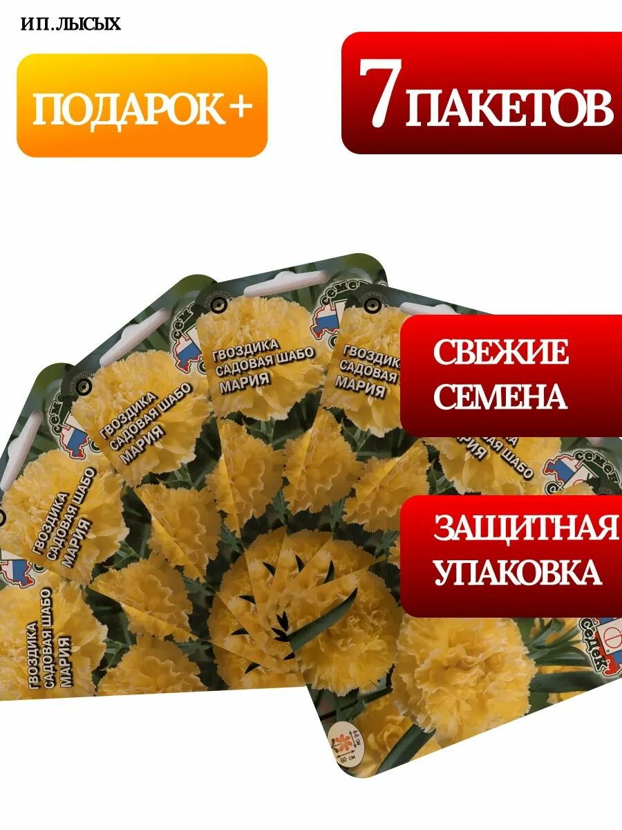 Семена Гвоздика "Мария"