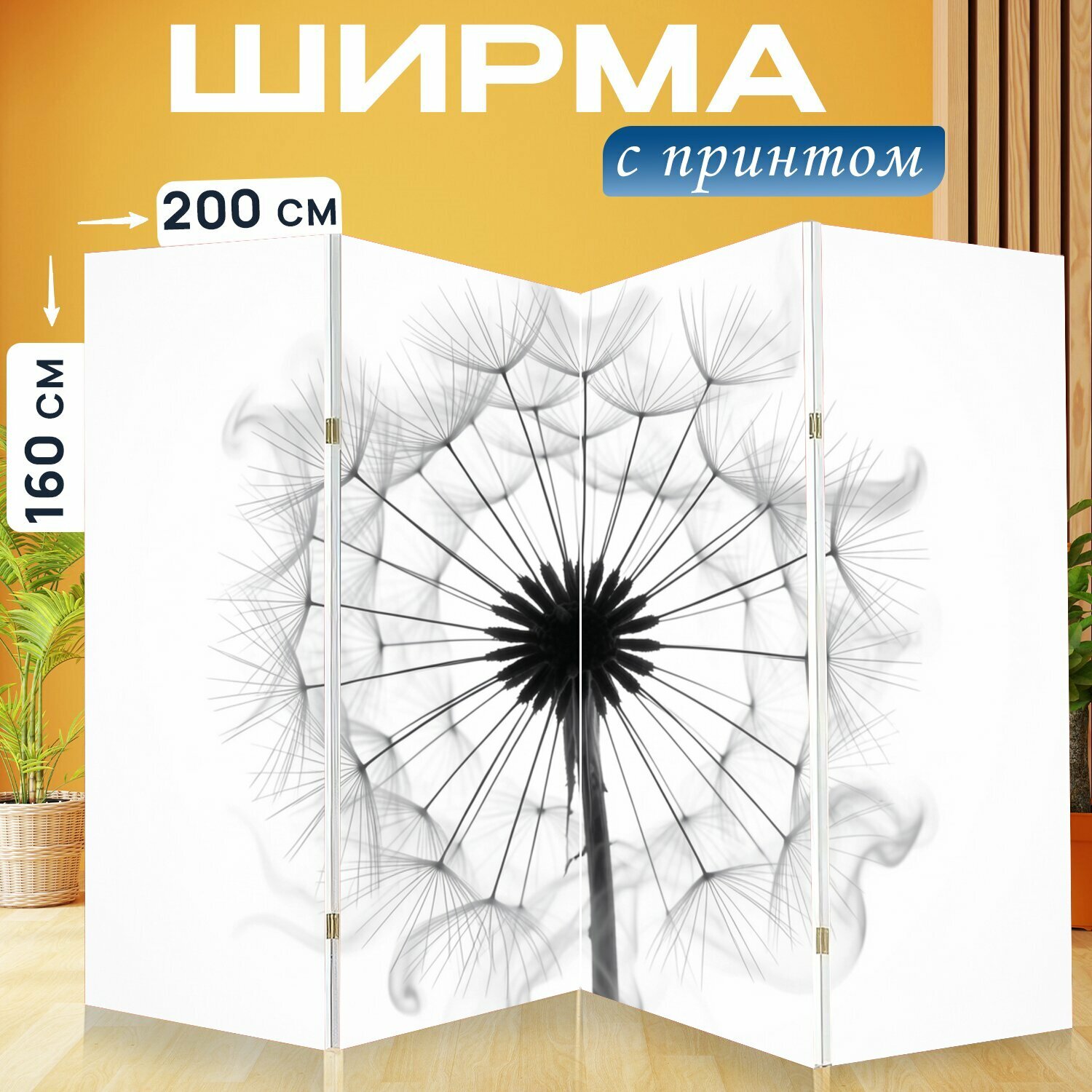 Ширма "Нежный одуванчик в монохроме. Минималистичный макро-кадр с пушистым семенным шаром и тонкими." перегородка для зонирования комнаты с принтом 200x160 см. на холсте