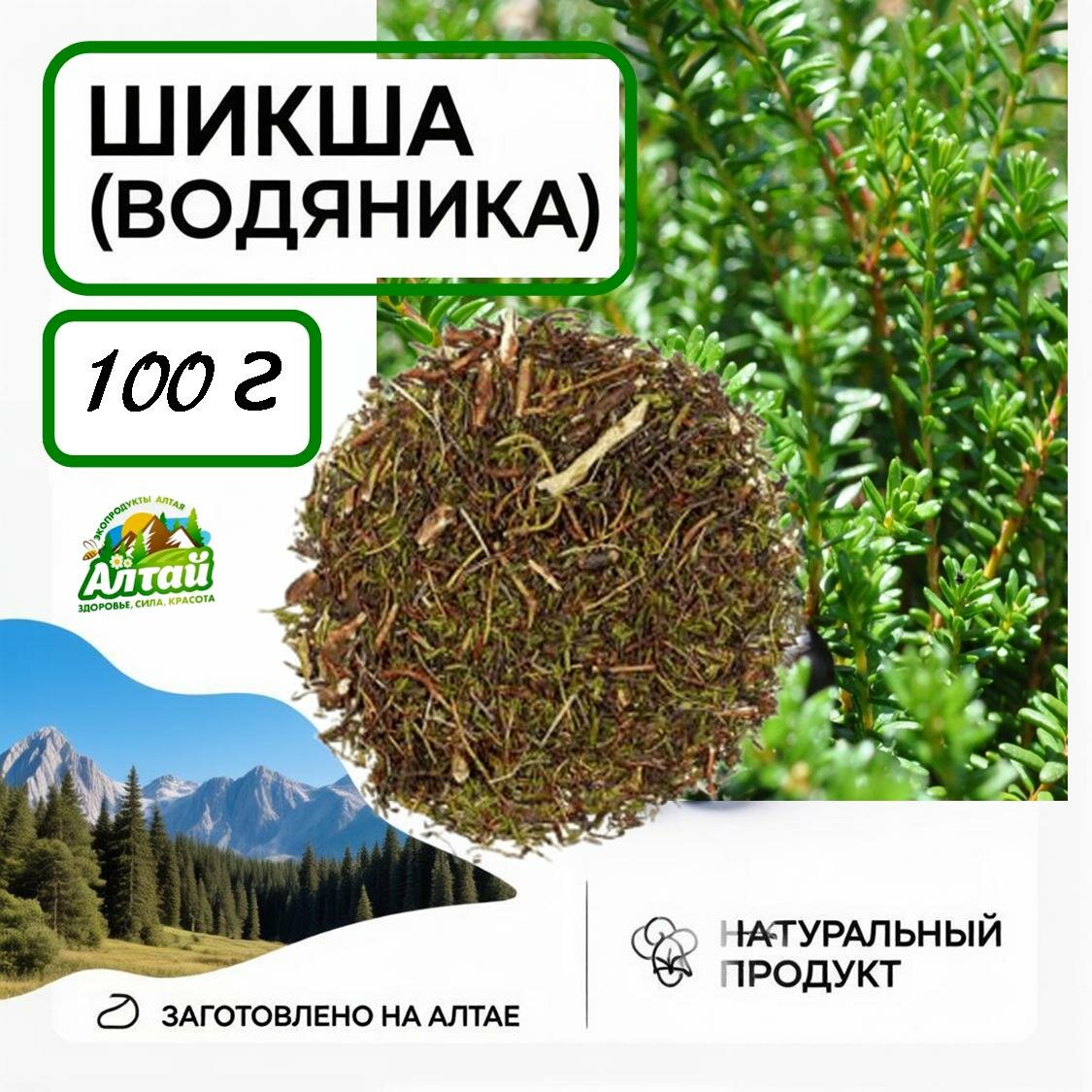 Шикша (водяника черная), побег резанный 10-12 мм, АлтайМир, 100 г
