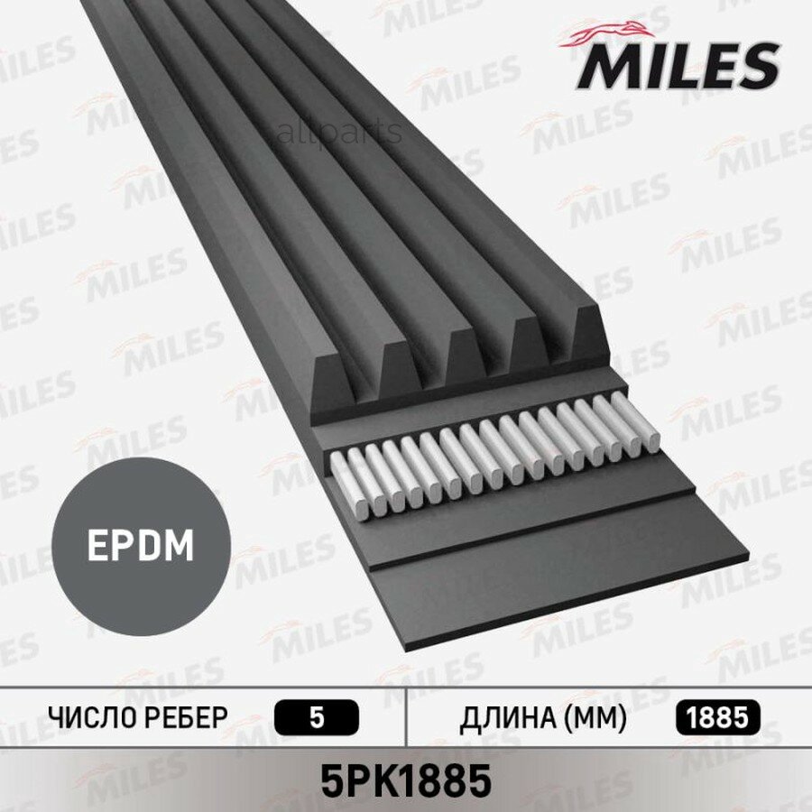 MILES 5PK1885 Ремень поликлиновый