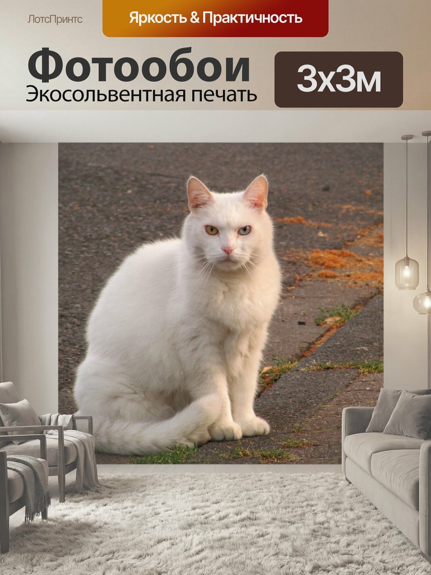 Фотообои "Кот, домашняя кошка, белый кот" 300x300 см. экосольвентная печать