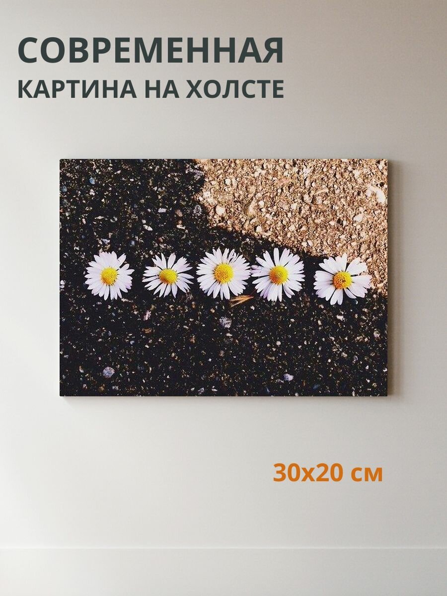 Картина на холсте Ромашки 30x20 см