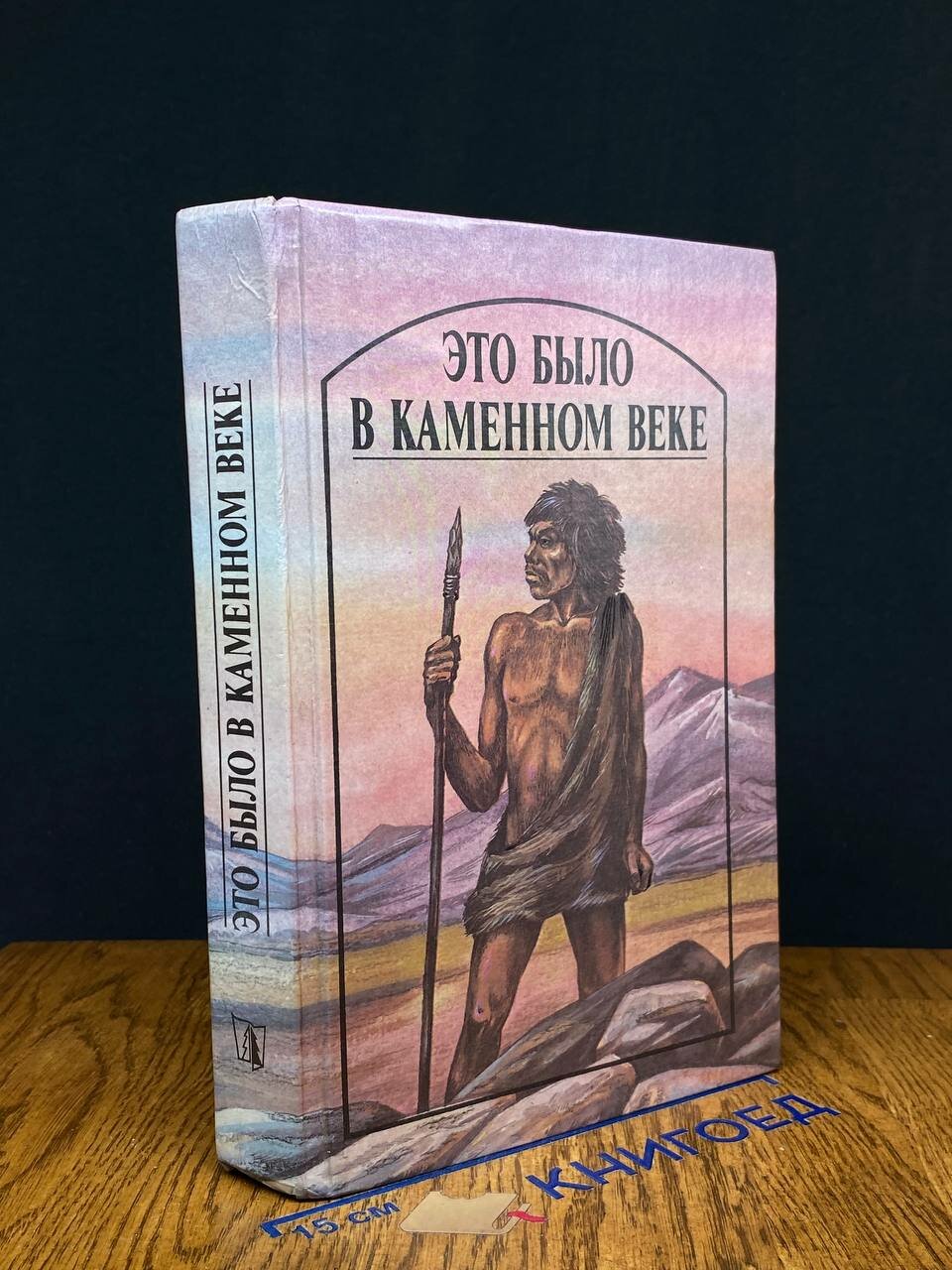 Книга. Это было в каменном веке 1989 (2043981131514)
