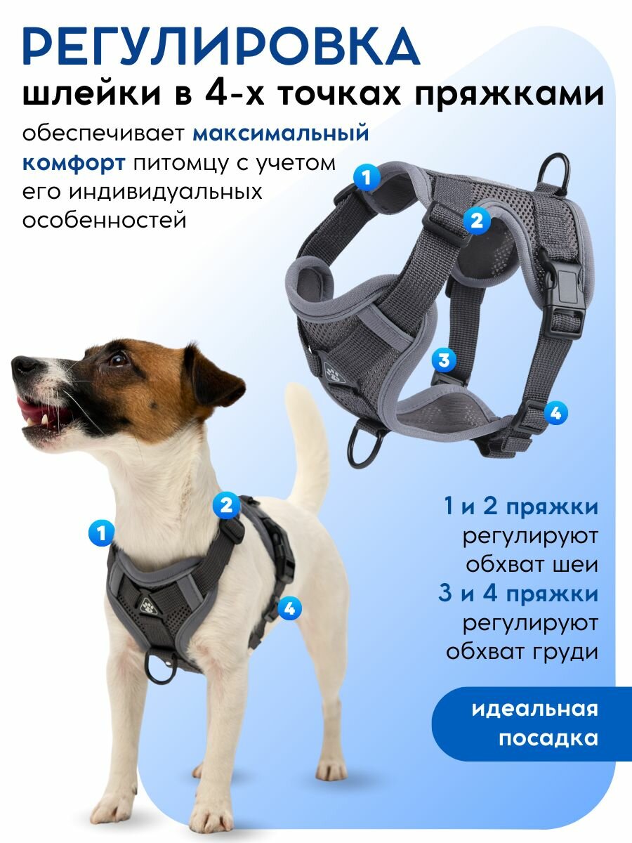 Шлейка — фото 1