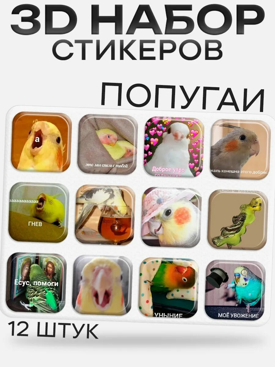 3D стикеры на телефон попугай