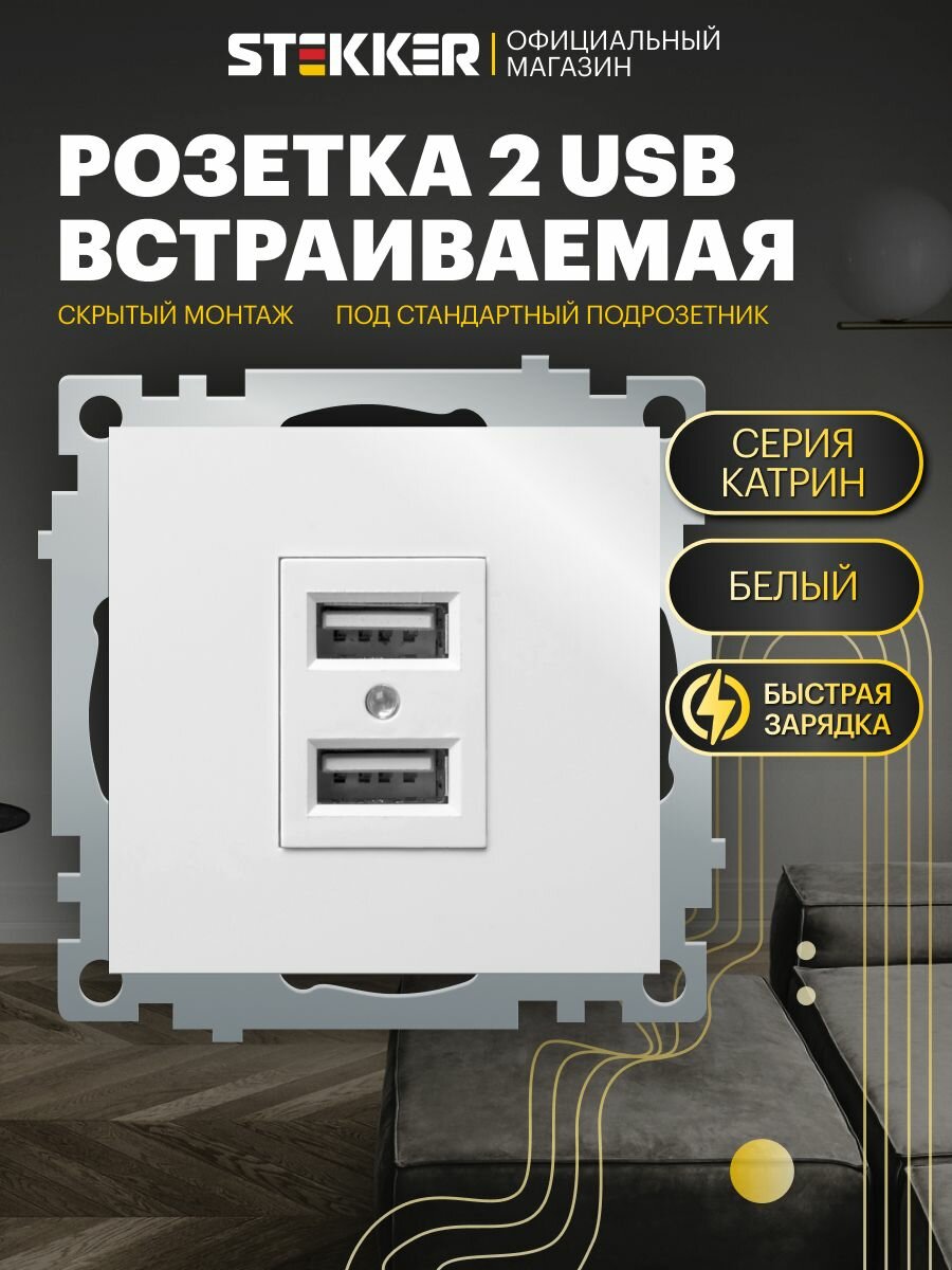 Розетка двойная встраиваемая / Розетка с usb 250B 2,1А (механизм), белый, Катрин Stekker GLS10-7115-01 39686