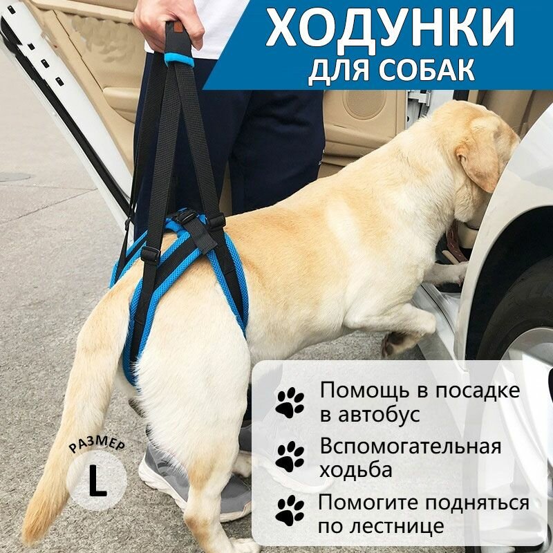 Ходунки для собак, поддержка задних лап пожилых и травмированных собак. Поддерживающая шлейка, размер L