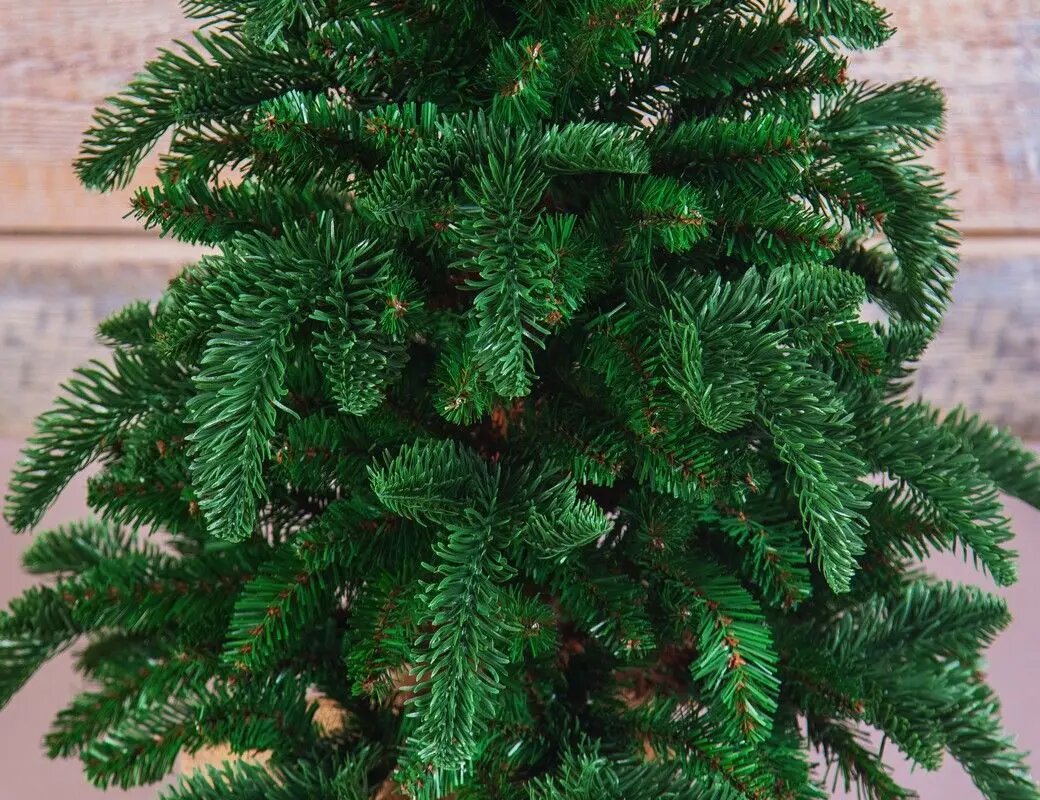 Ель Триумф "Нормандия" 60 см в мешочке зеленая