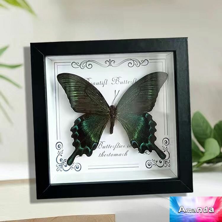 Бабочка в рамке под стеклом элегантное украшение интерьера для дома и коллекции, черная рамка 180x180 мм
